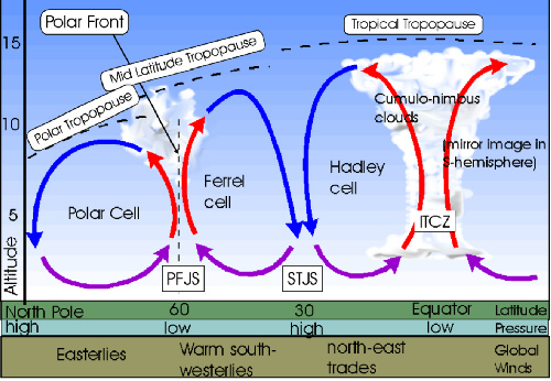 Celula de Hadley. Autor: RAM Meteorología | Meteosojuela.es